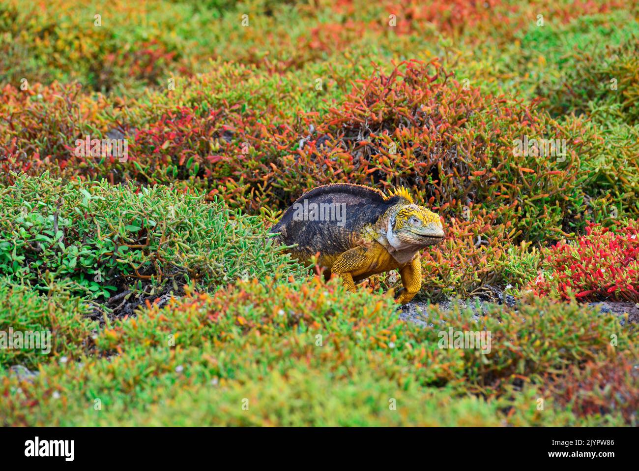 Overview of santa fe hi-res stock photography and images - Alamy