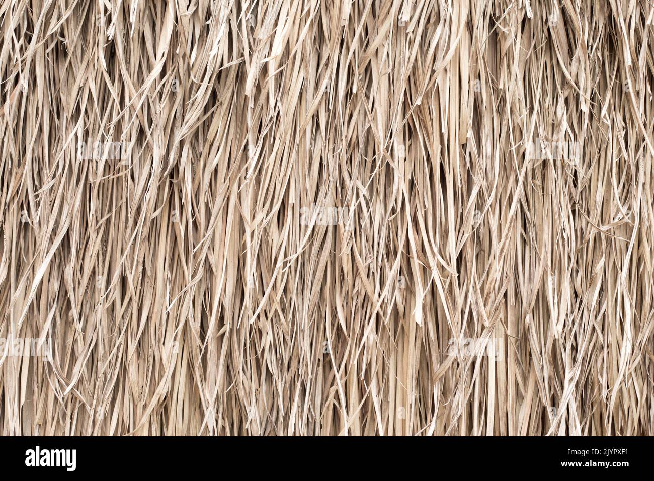 Straw texture. Tropic roof summer background Stock Photo - Alamy