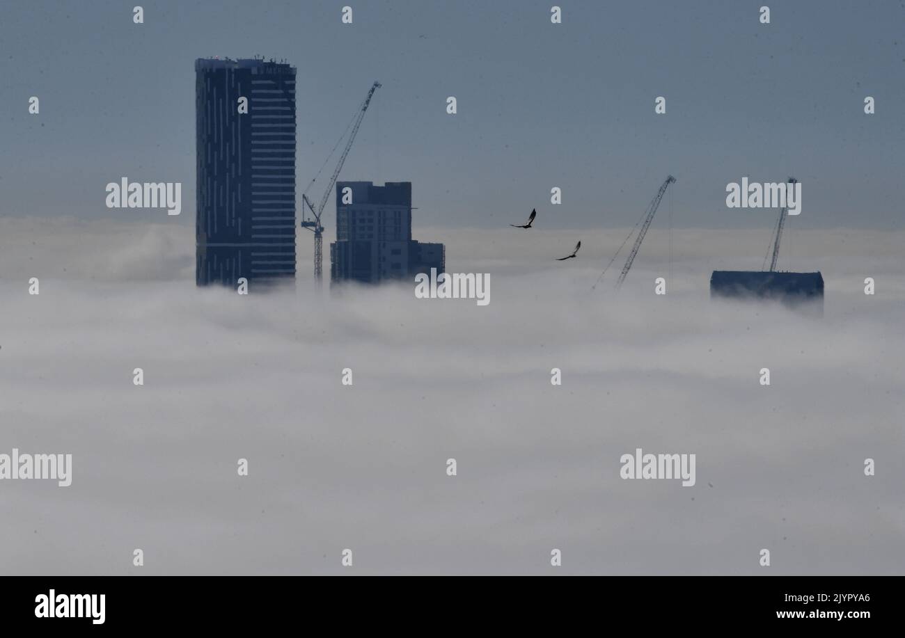The city of Brisbane is seen covered in a layer of fog from the Mount ...