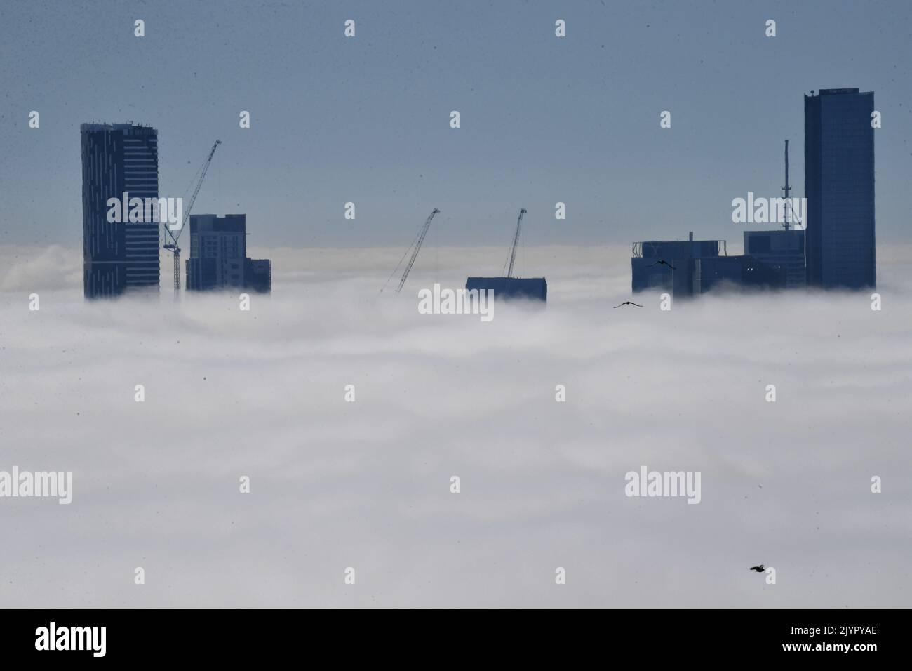 The city of Brisbane is seen covered in a layer of fog from the Mount ...