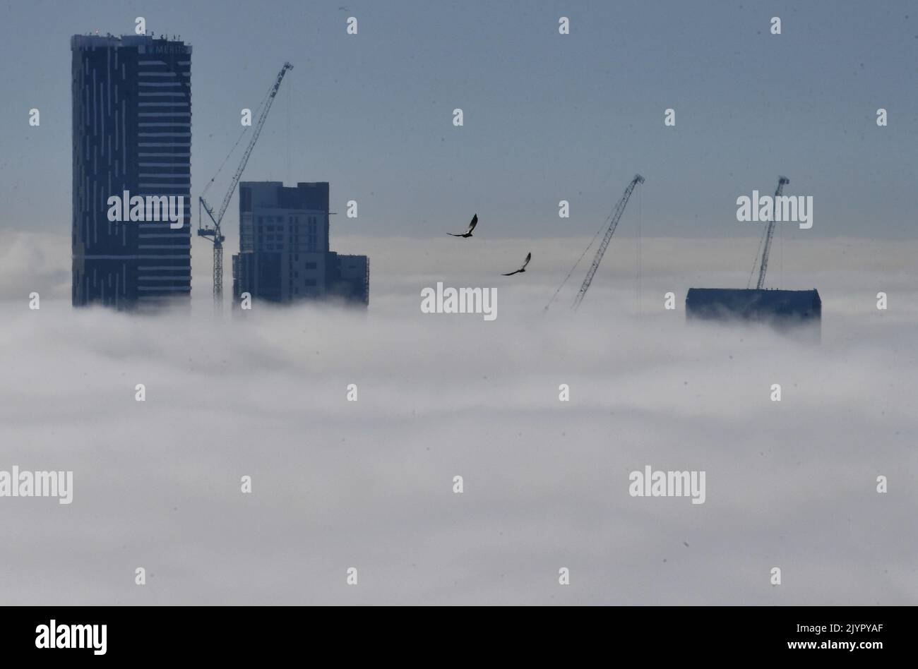 The city of Brisbane is seen covered in a layer of fog from the Mount ...