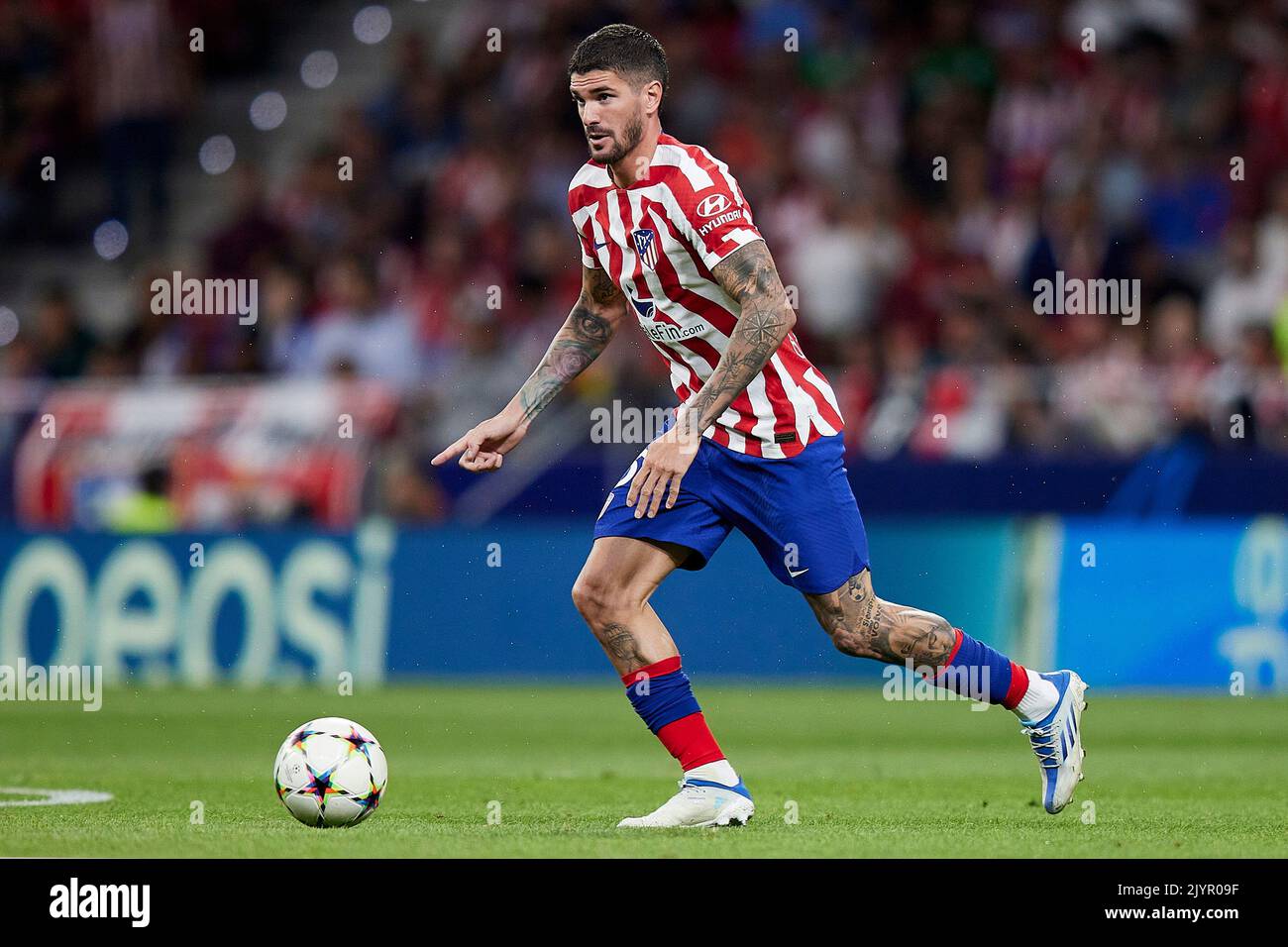 Rodrigo de paul porto hi-res stock photography and images - Alamy