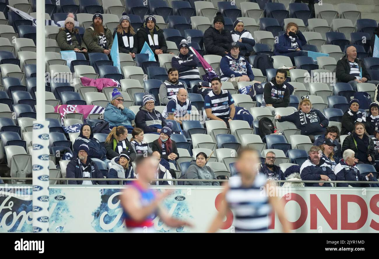 Cats fans in the crowd look on with a small crowd in attendance due to ...