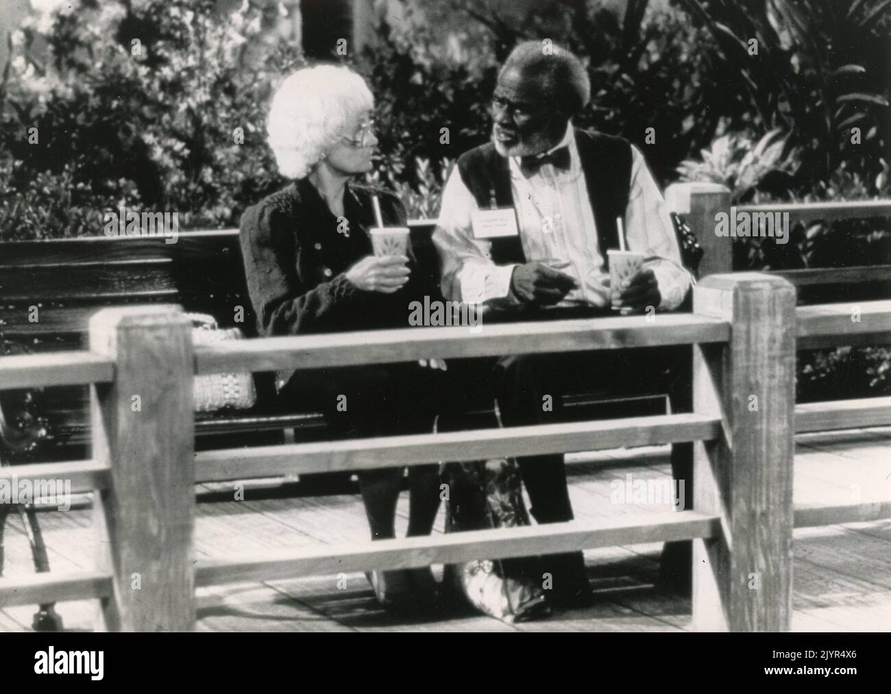 Golden and girls sitcom hi-res stock photography and images - Alamy