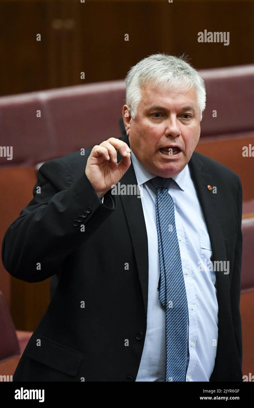 Independent Senator Rex Patrick speaks during debate in the Senate ...