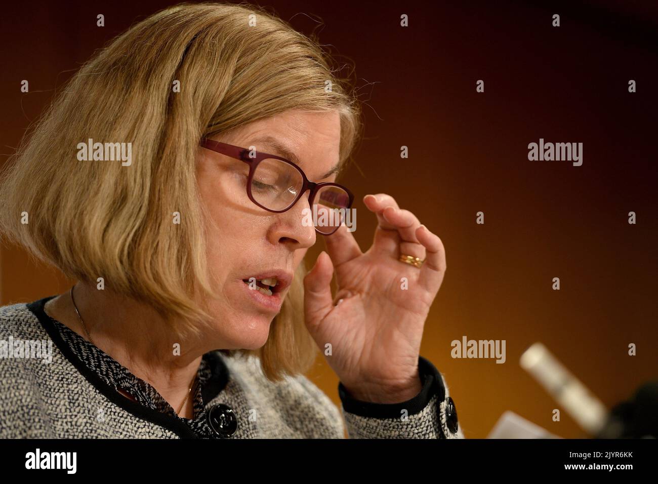 NSW Chief Health Officer Dr Kerry Chant addresses media during a press ...