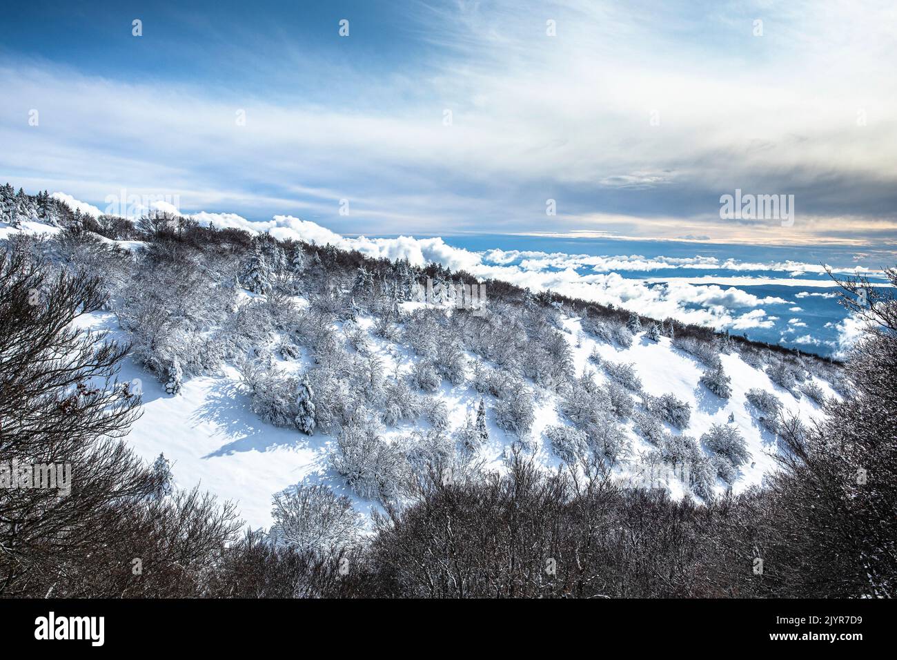 Snow-covered ridges of Mont Ventoux, Regional Nature Park, Vaucluse ...
