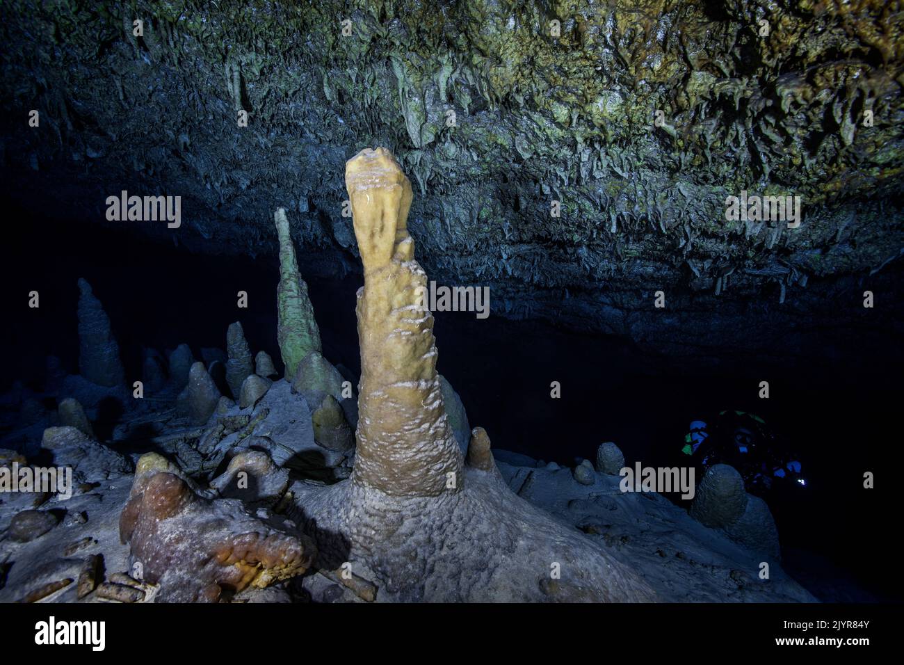 Underwater Stalagmite. In the south boat pass cave, 70 metres deep and ...
