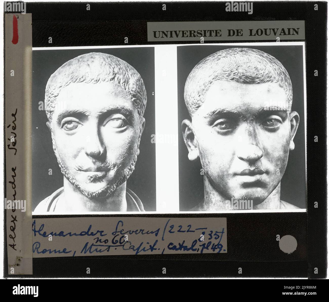 Refined portraiture Cut Out Stock Images & Pictures - Alamy