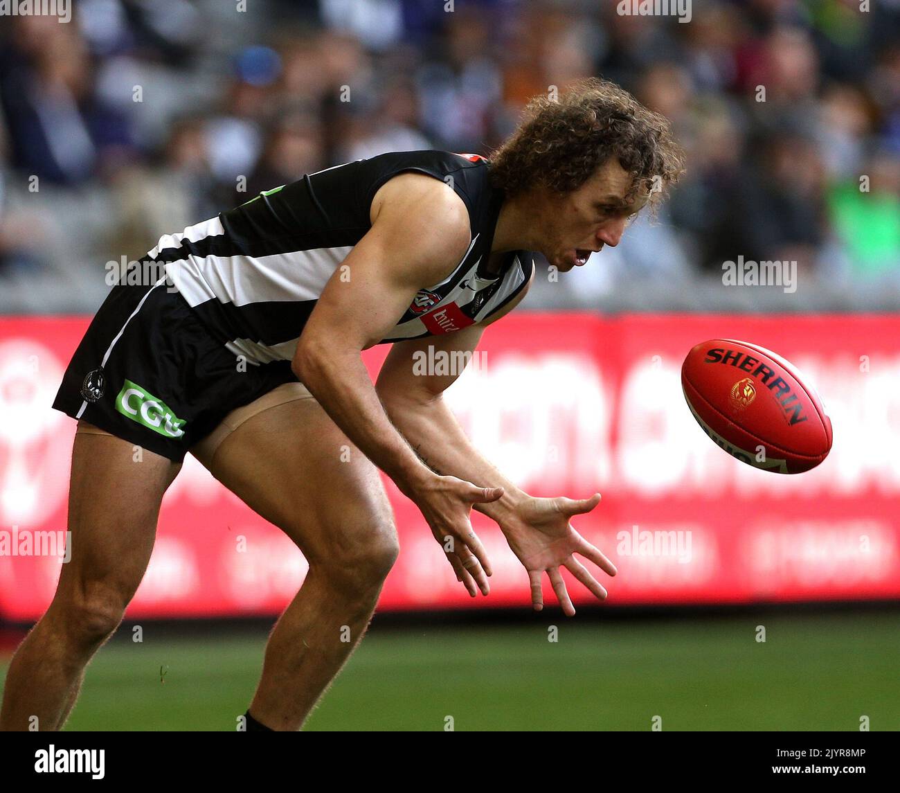 Chris Mayne of the Magpies runs forward during the AFL Round 15 match ...