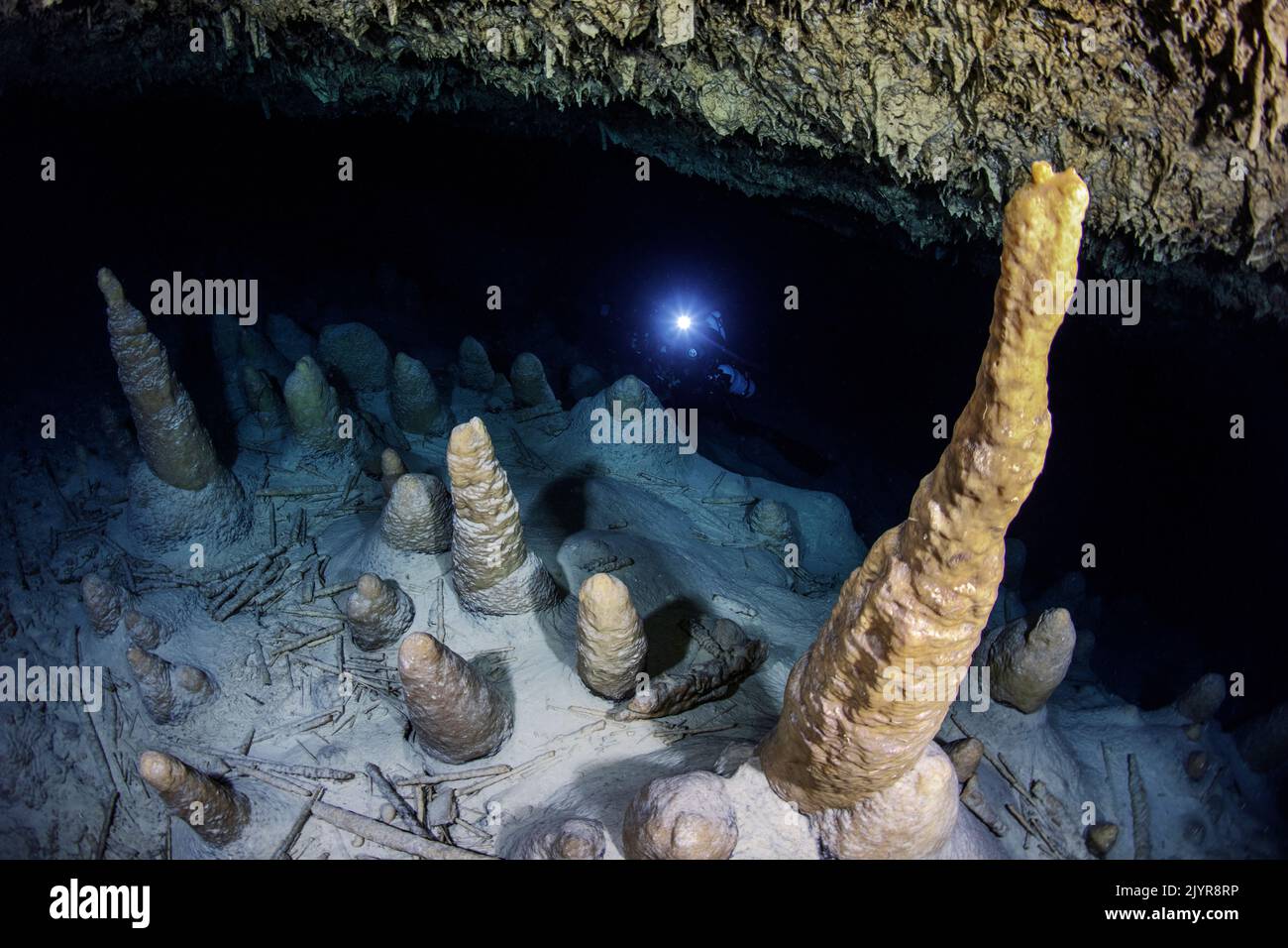 The stalagmite field. Another bird's eye view from a slightly different ...