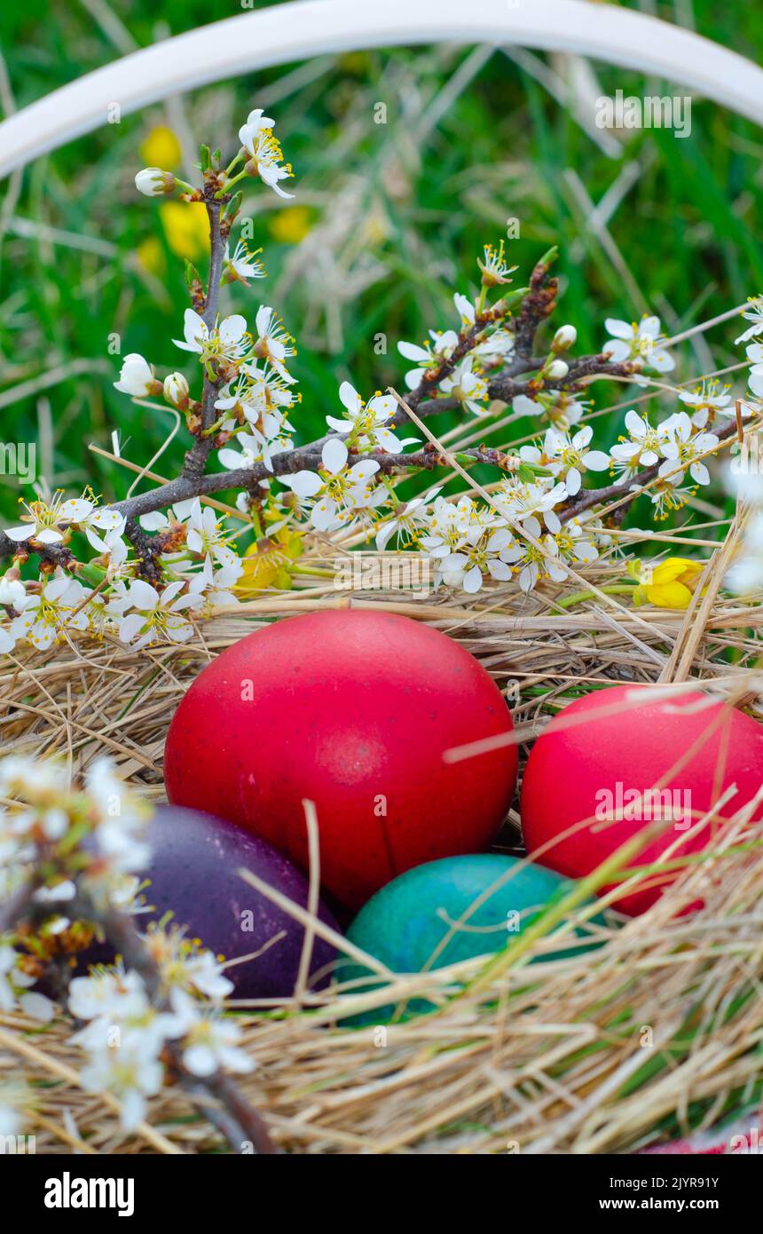 Botosani, Romania - September 17, 2022: Cornisa IRF Rafting and ...