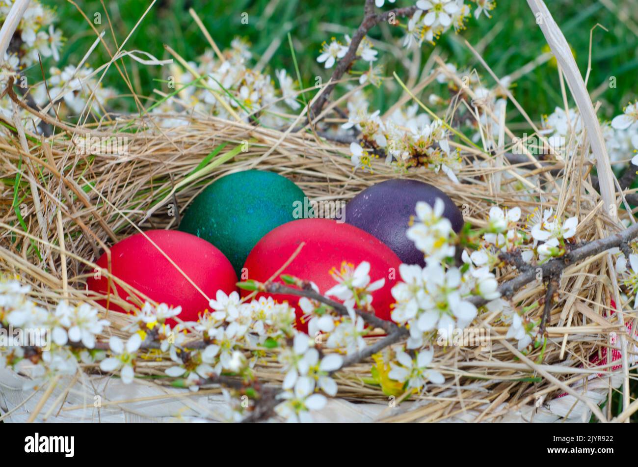 Botosani, Romania - September 17, 2022: Cornisa IRF Rafting and ...