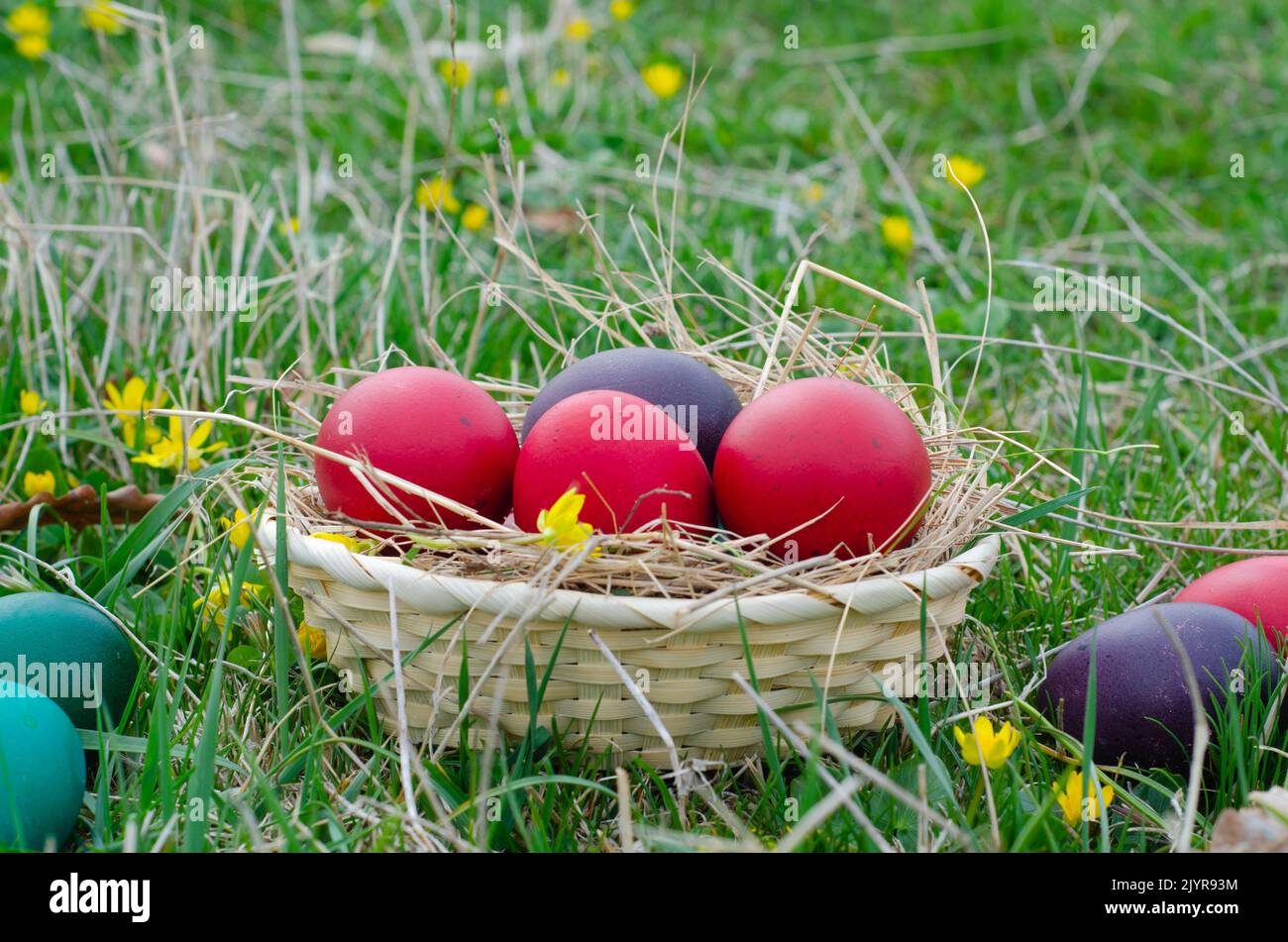 Botosani, Romania - September 17, 2022: Cornisa IRF Rafting and ...