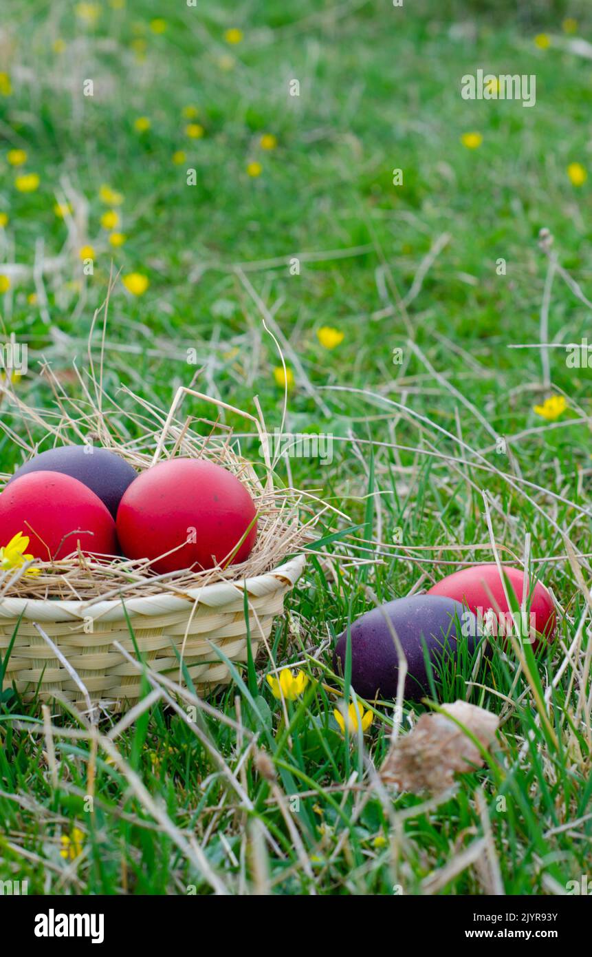 Botosani, Romania - September 17, 2022: Cornisa IRF Rafting and ...