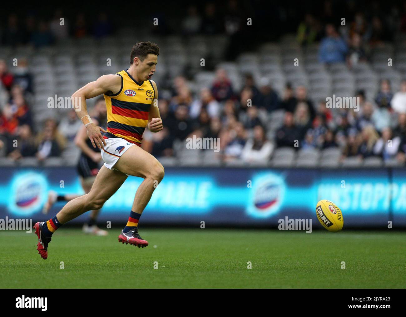 Jake Kelly of the Crows runs forward during the Round 15 AFL match ...