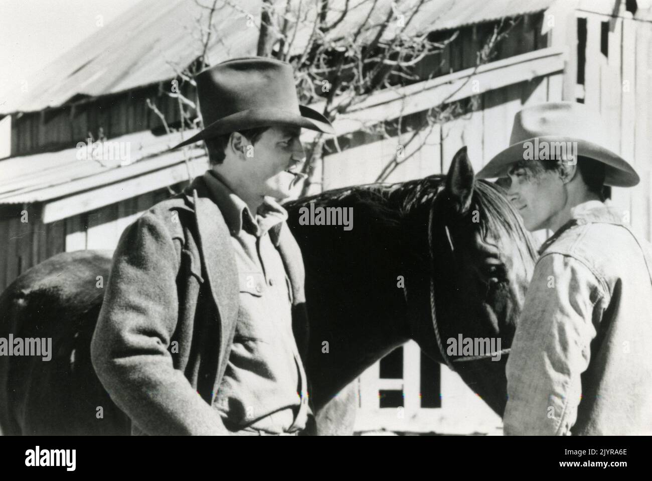 The hi lo country 1998 billy crudup hi-res stock photography and images ...
