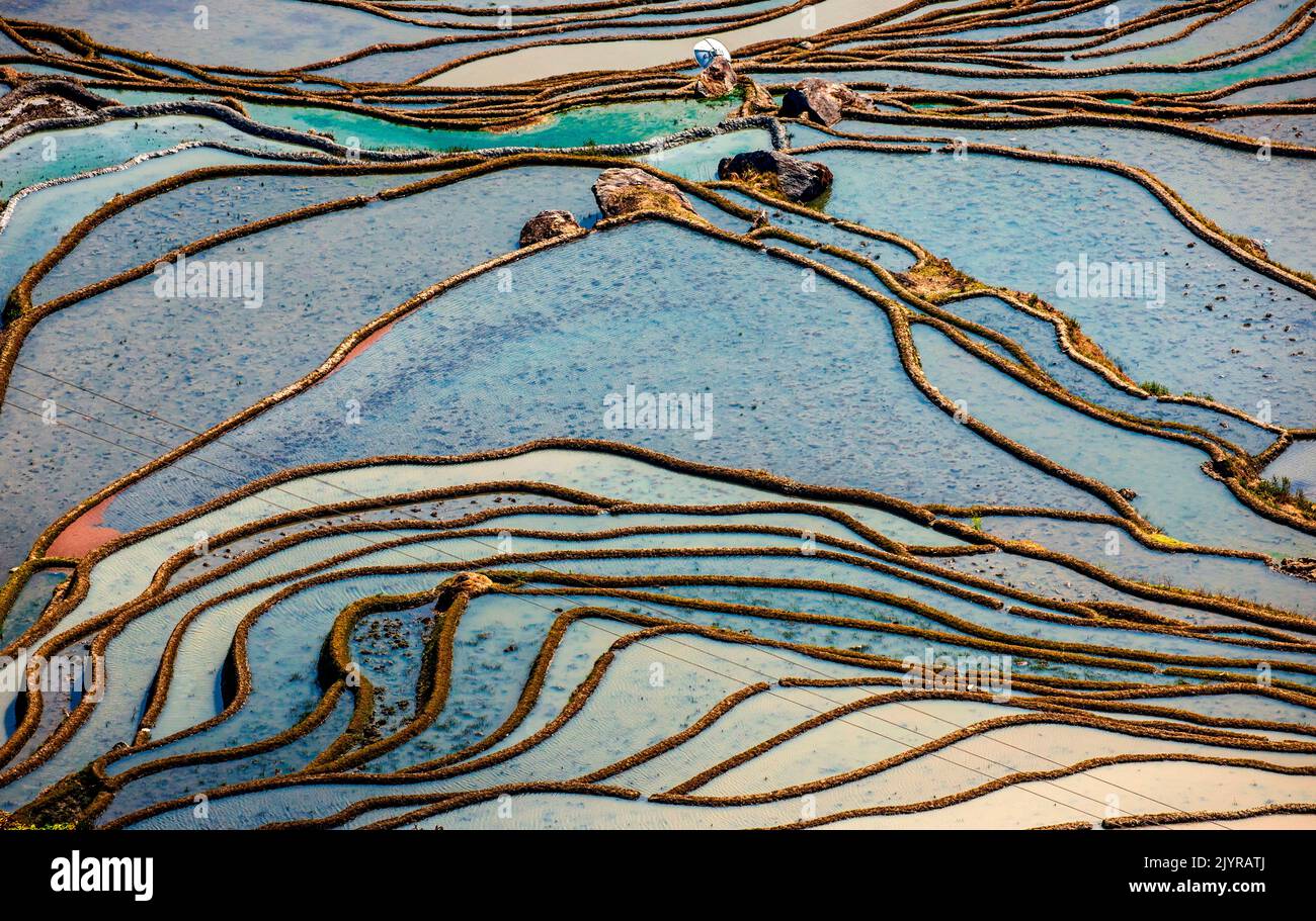 Honghe Hani Rice Terraces in Yuanyang County. Yunnan Province. China ...