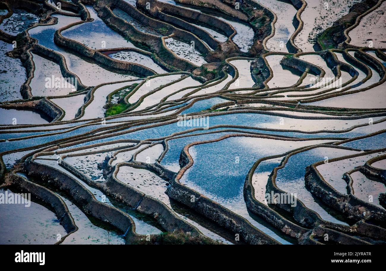 Honghe Hani Rice Terraces in Yuanyang County. Yunnan Province. China ...