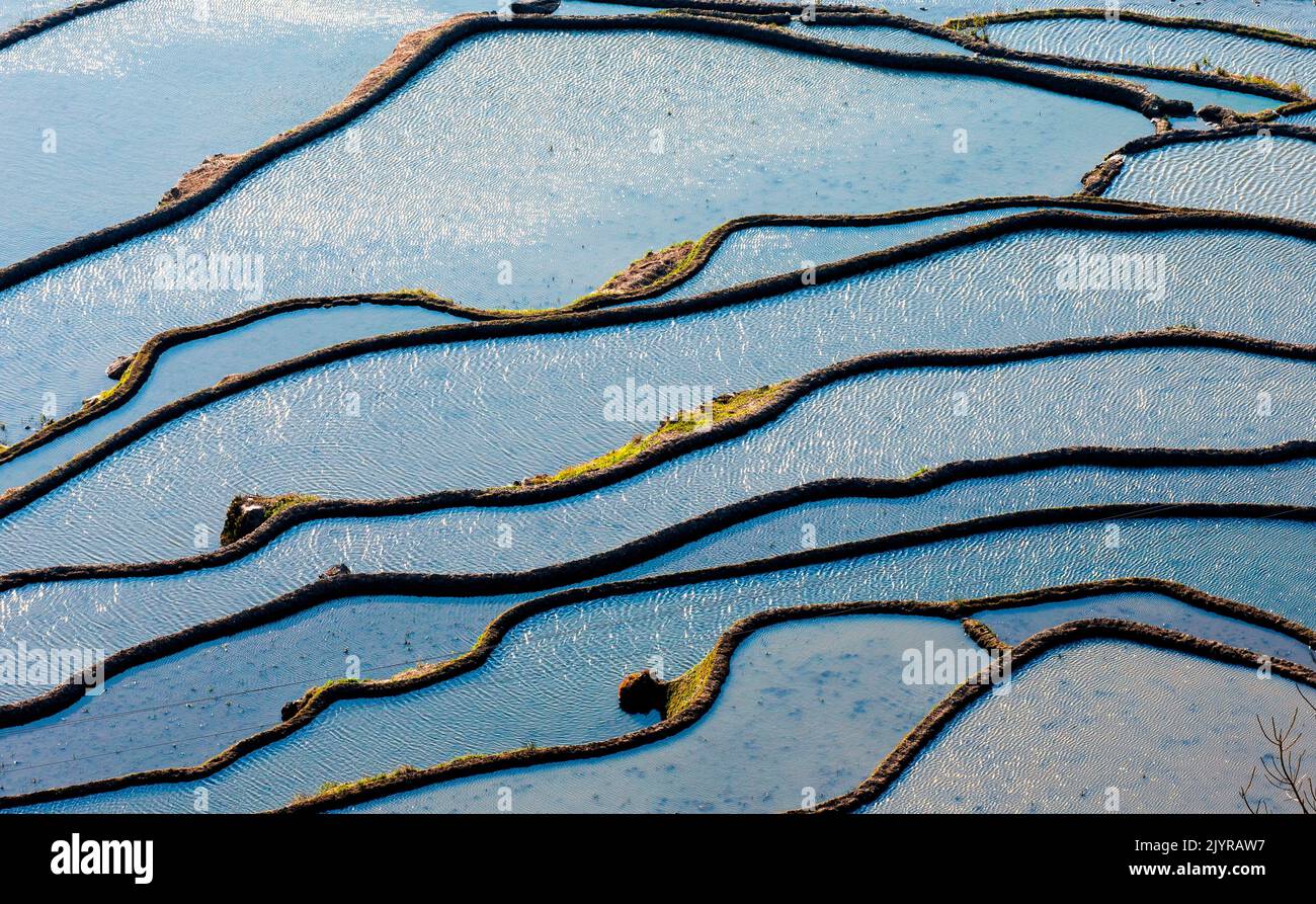 Honghe Hani Rice Terraces in Yuanyang County. Yunnan Province. China ...