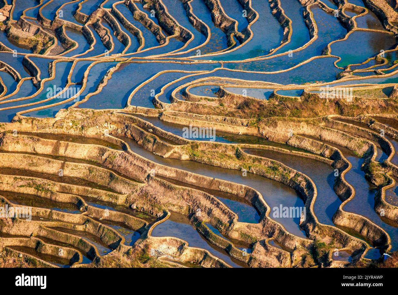 Honghe Hani Rice Terraces in Yuanyang County. Yunnan Province. China ...