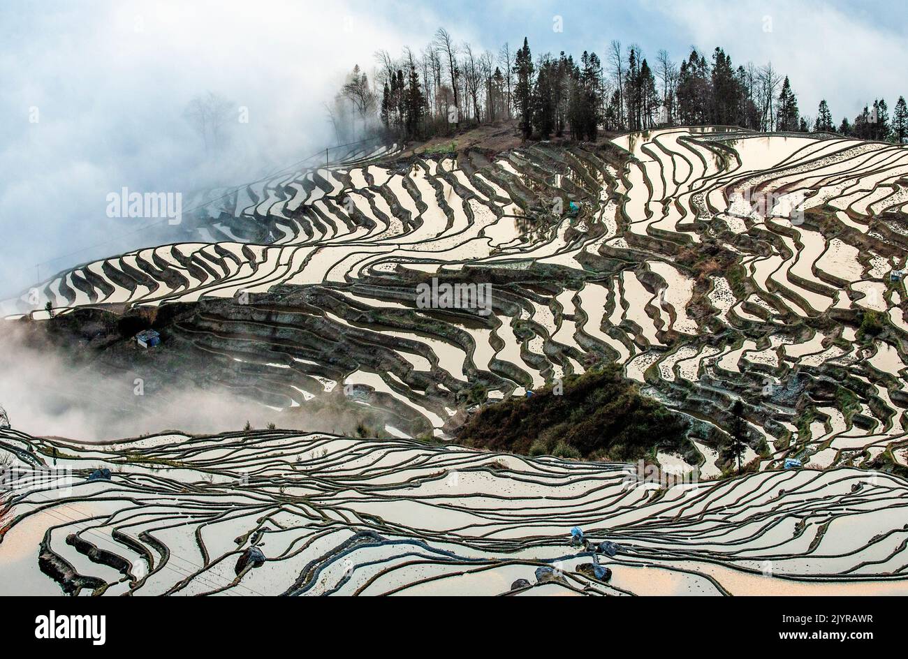 Honghe Hani Rice Terraces, Rice terraces of Yunnan province amid the ...