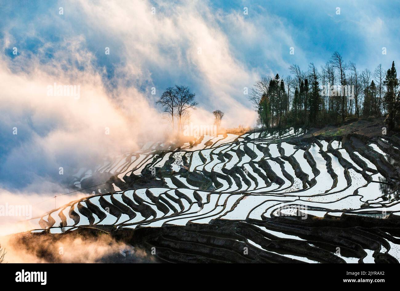 Honghe Hani Rice Terraces, Rice terraces of Yunnan province amid the ...
