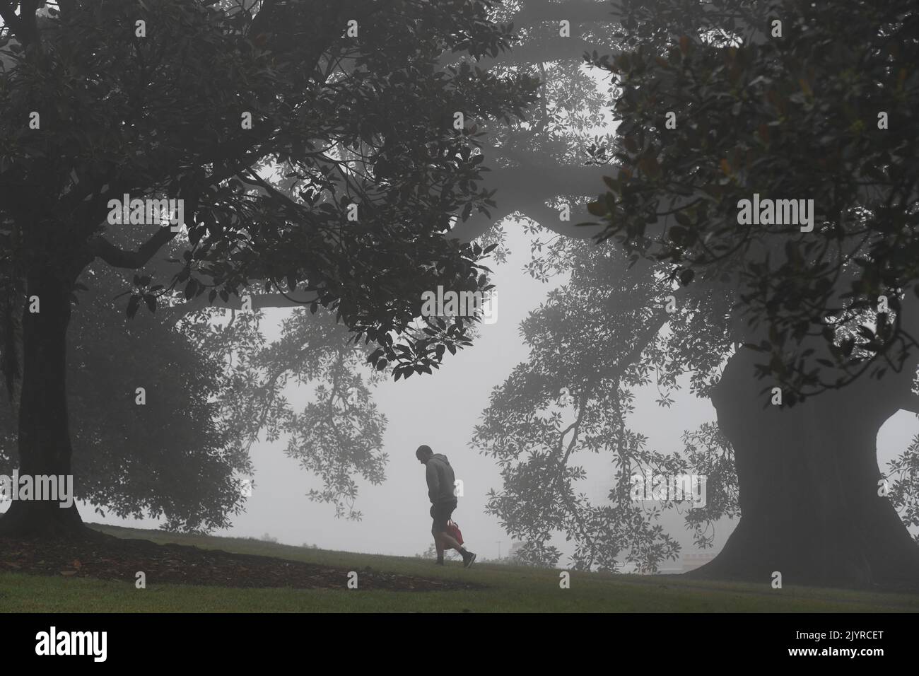 A man walks through the fog at Observatory Hill in Sydney, Thursday ...