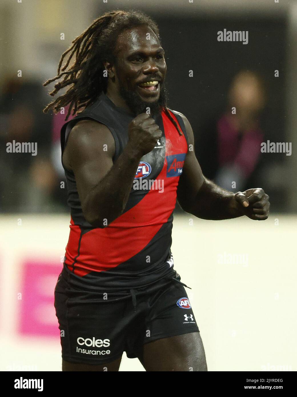 Anthony McDonald-Tipungwuti of the Bombers celebrates a goal during the ...