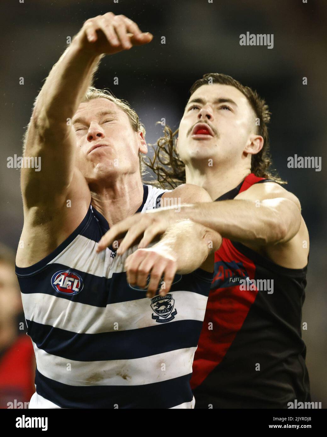 Mark Blicavs of the Cats and Sam Draper of the Bombers contest the ruck ...