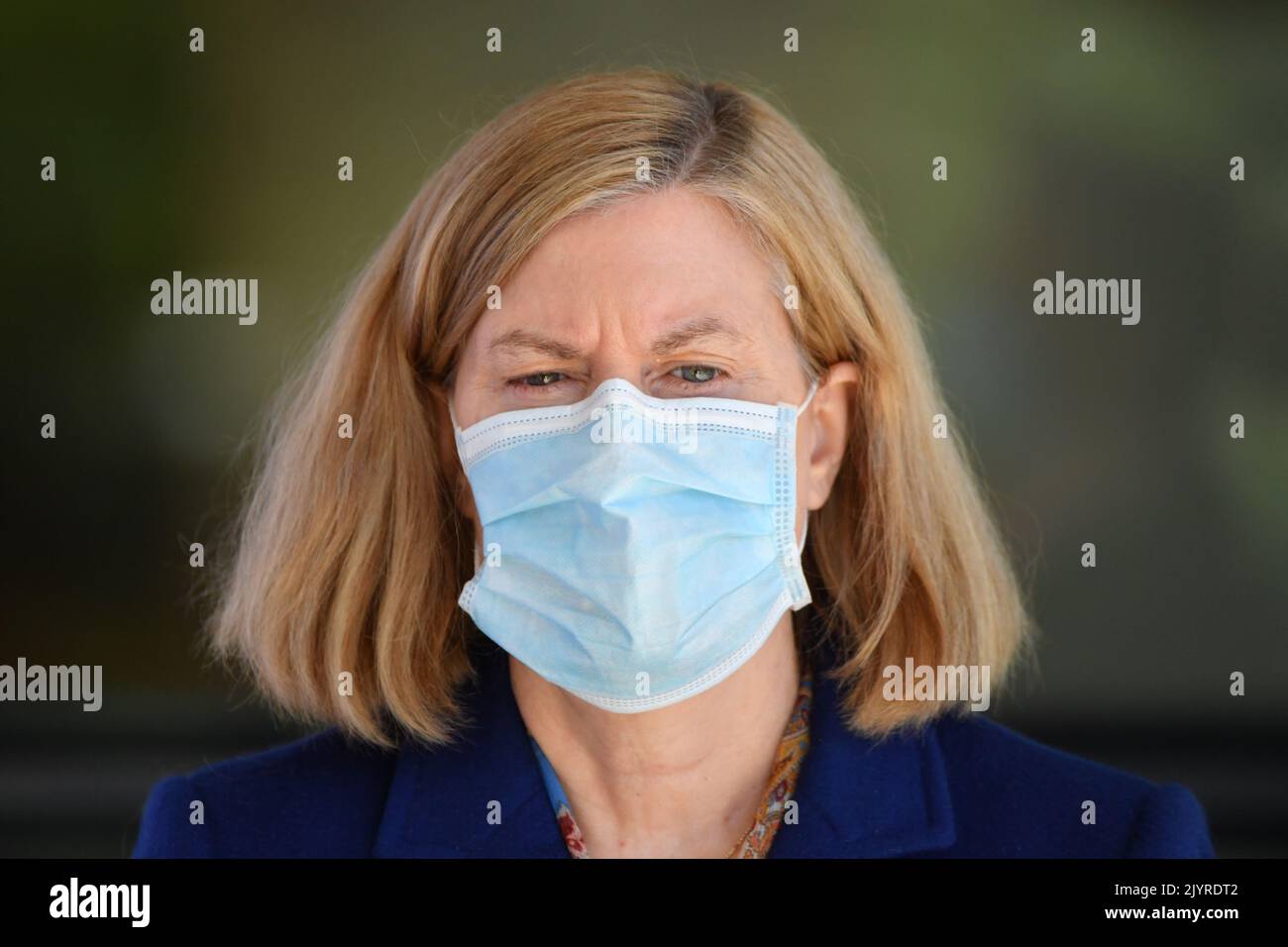 NSW Chief Health Officer Dr Kerry Chant at a press conference to ...