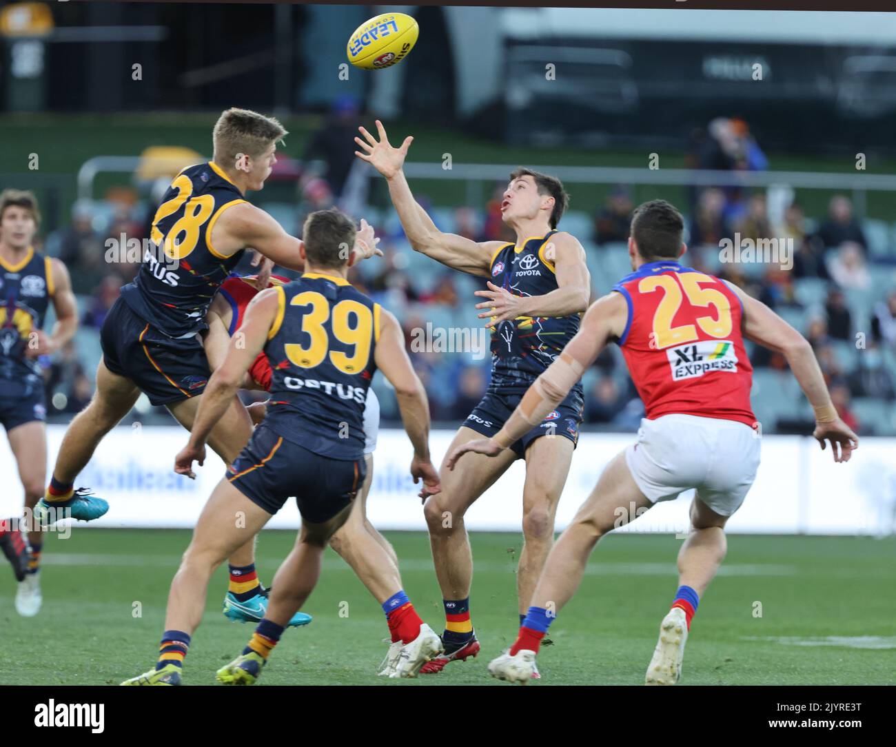 Jake Kelly of the Crows during the AFL Round 16Êmatch between Adelaide ...