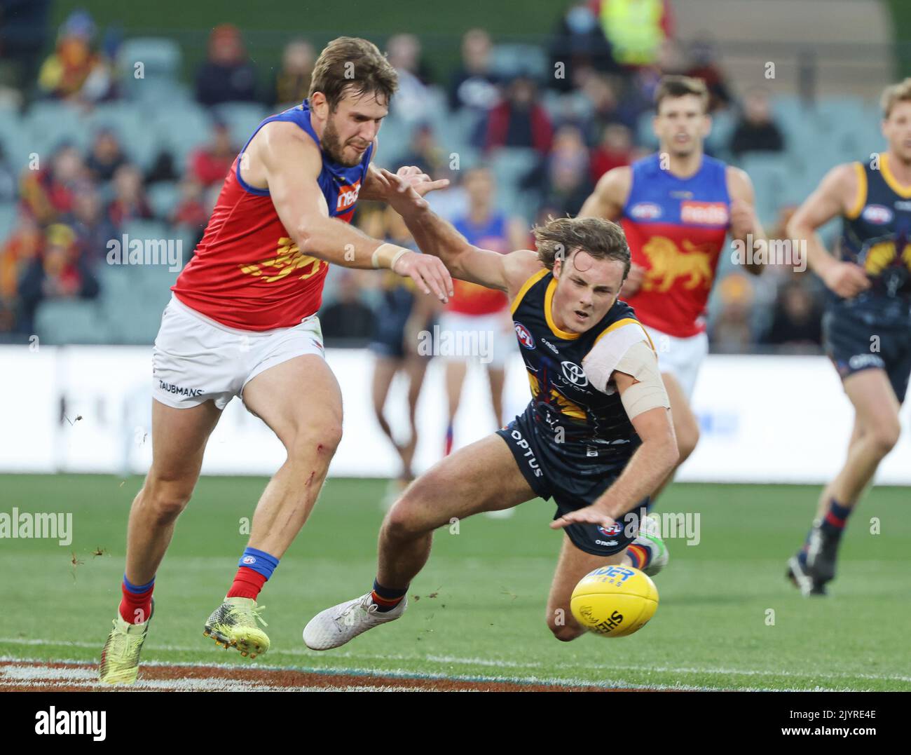 Grant Birchal of the Lions and Luke Pedlar of the Crows contest the ...