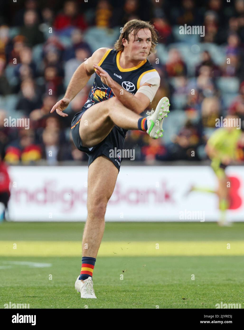 Luke Pedlar of the Crows kicks the ball during the AFL Round 16Êmatch ...