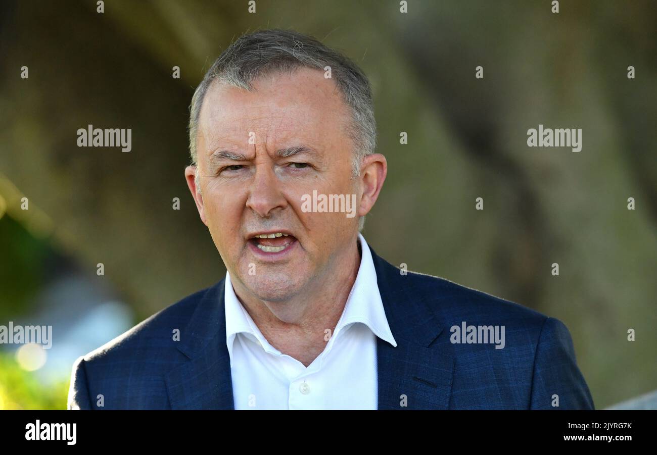 Australian Opposition Leader Anthony Albanese speaks to the media ...