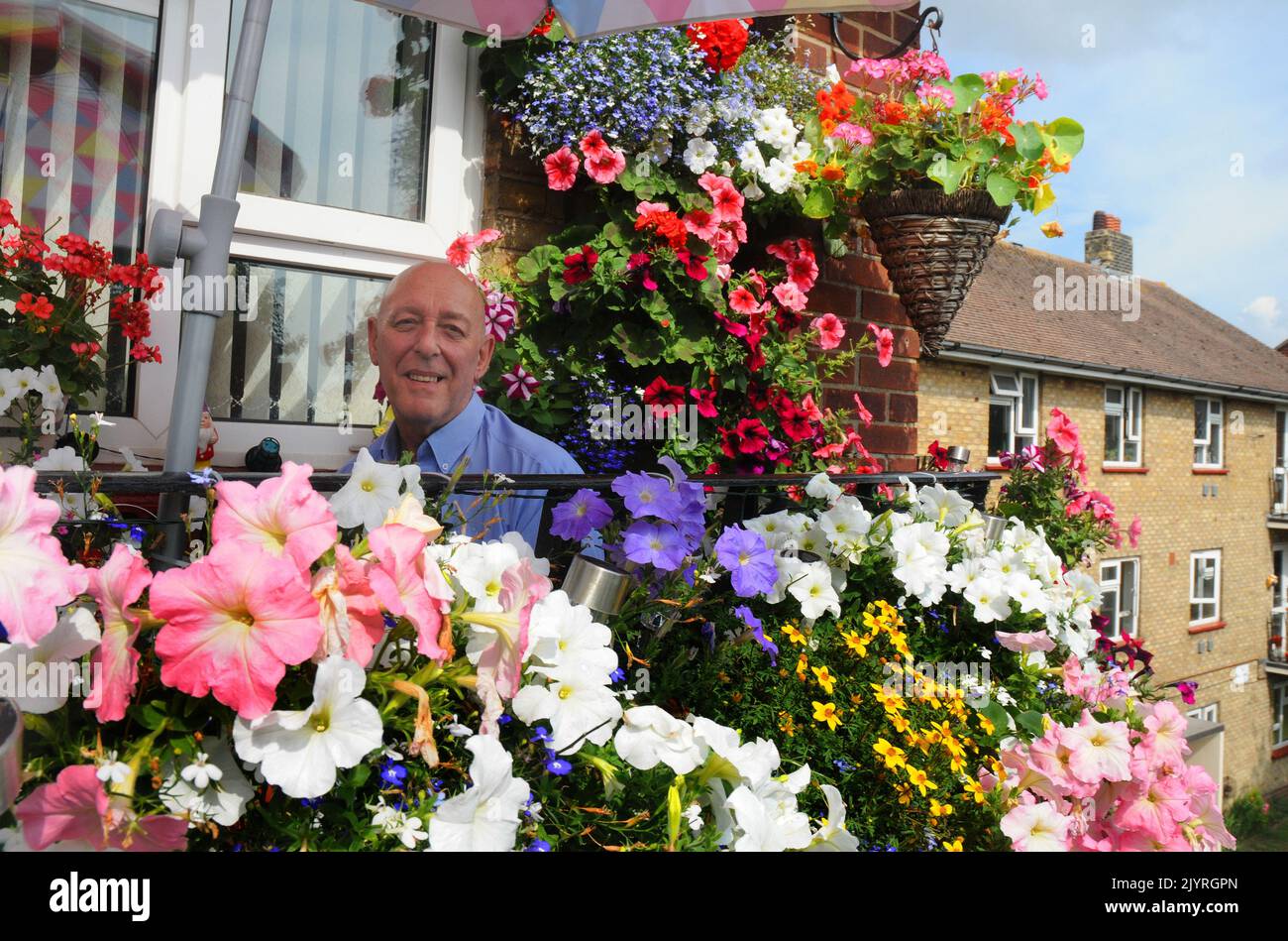 Geraniums lobelia hi-res stock photography and images - Alamy