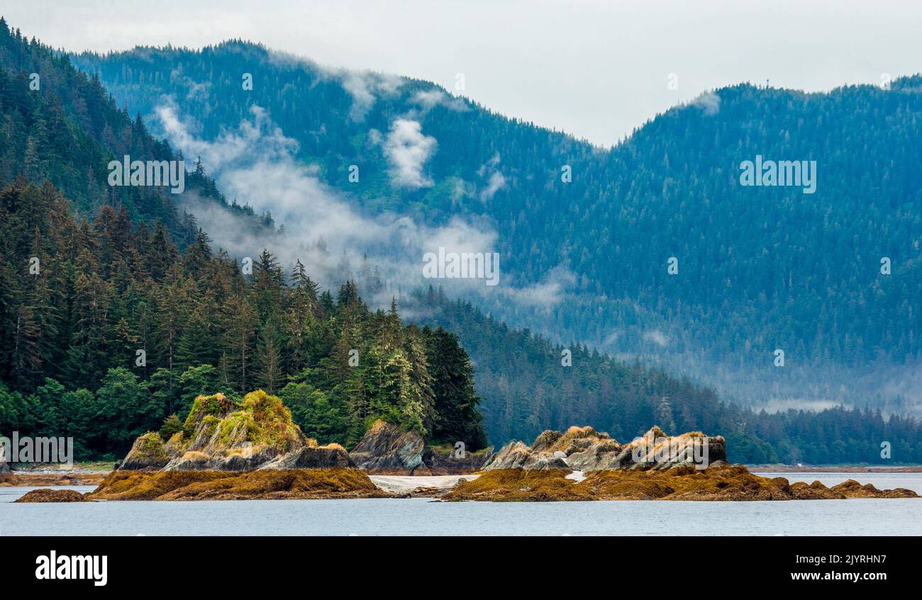 Stunning views from the sea to the mountains and forests in the fjords ...