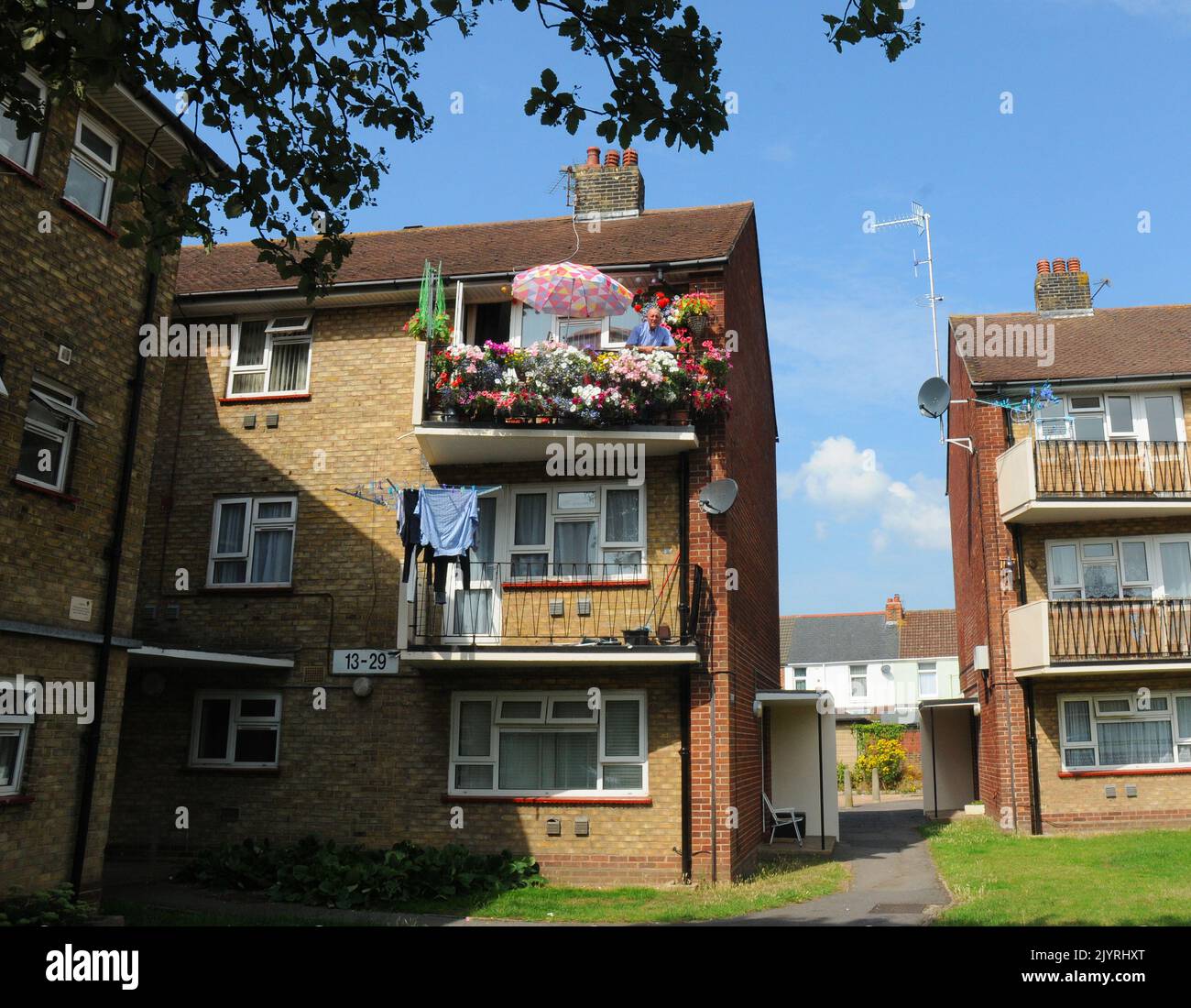 Geraniums lobelia hi-res stock photography and images - Alamy