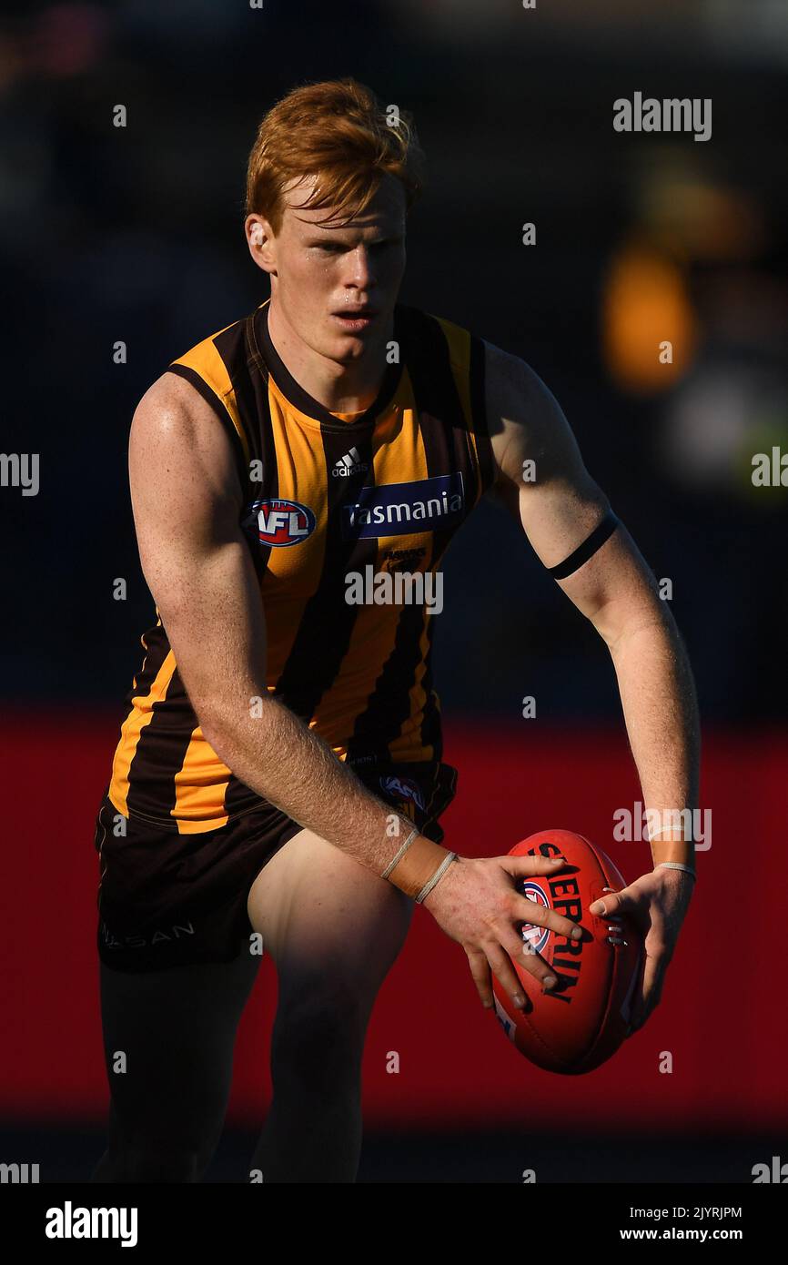 Damon Greaves of Hawthorn in action during the AFL Round 17Êmatch ...