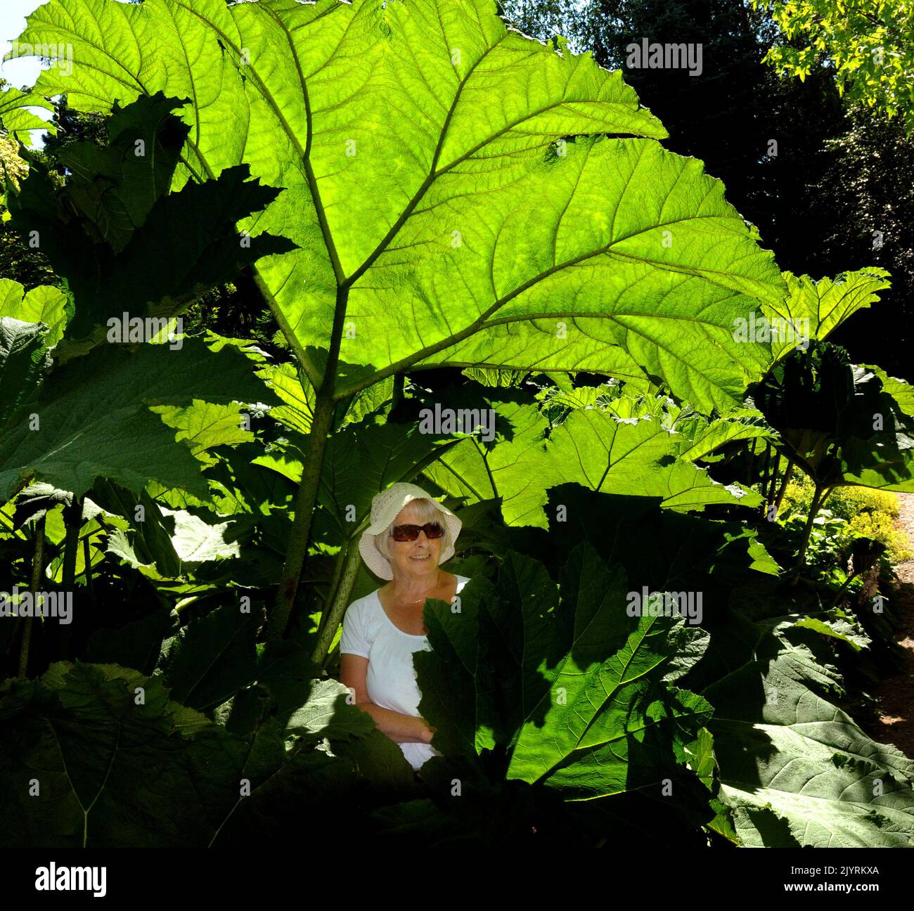 Vicki walker hi-res stock photography and images - Alamy