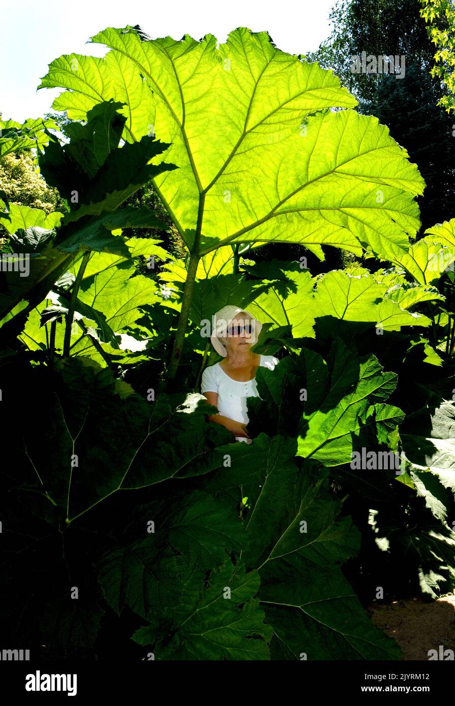 Vicki walker hi-res stock photography and images - Alamy