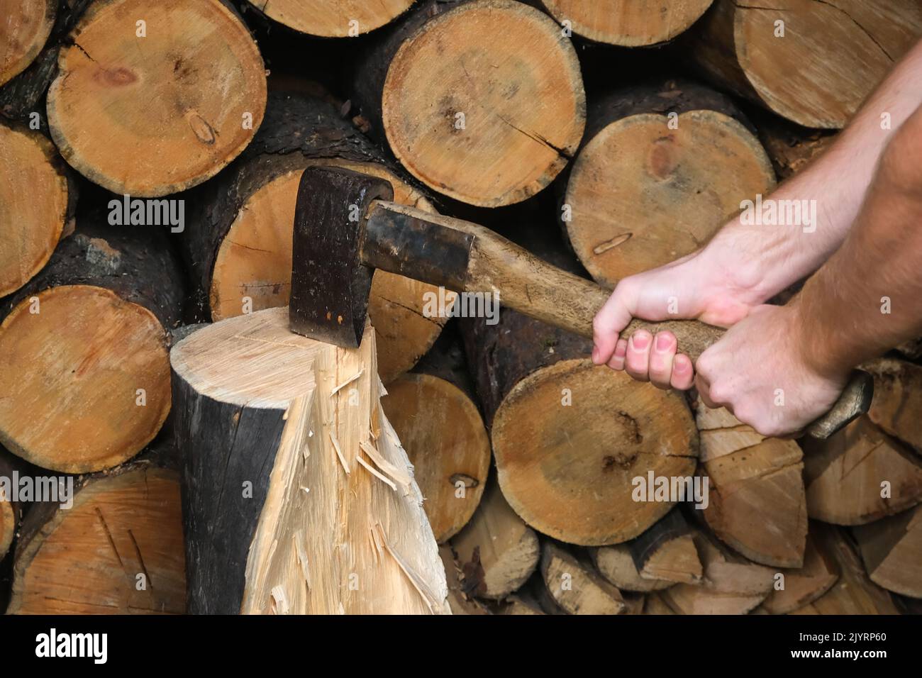 A man is chopping logs with an axe on chopping block. Harvesting of ...