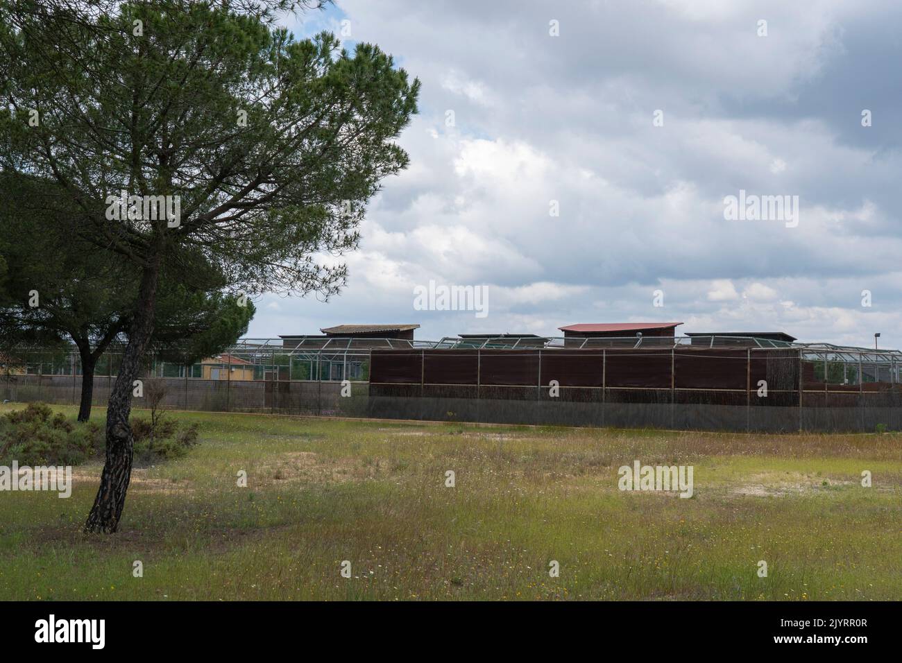 The enclosures of Centro de Cría del Lince Iberico El Acebuche, Donana ...