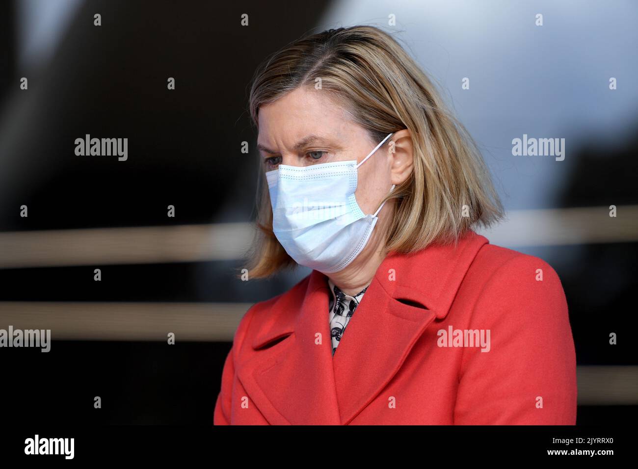 NSW Chief Health Officer Dr Kerry Chant watches on during a press ...