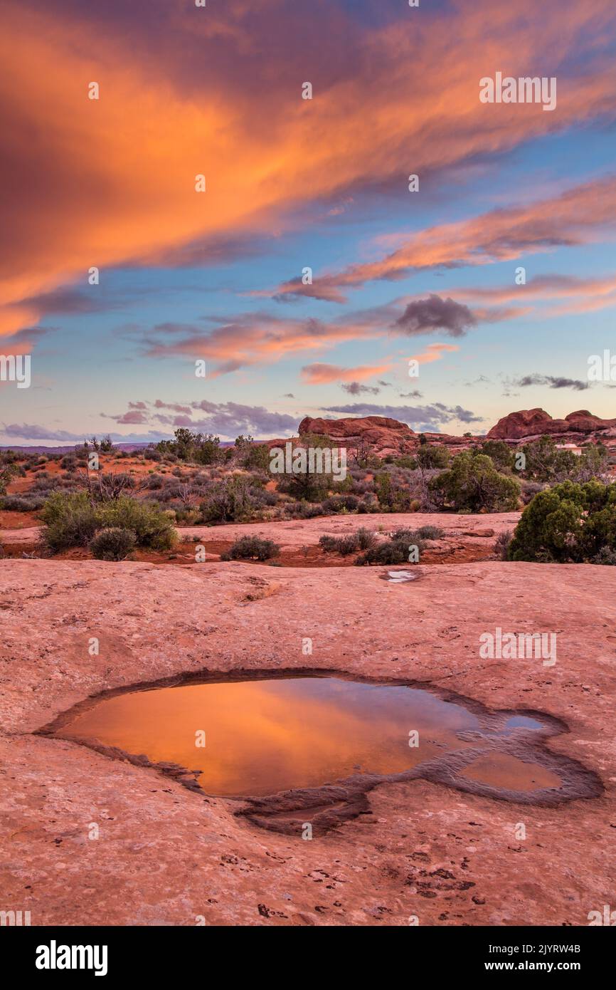Colorful sunset clouds reflected in an ephemeral rainwater pothole in ...