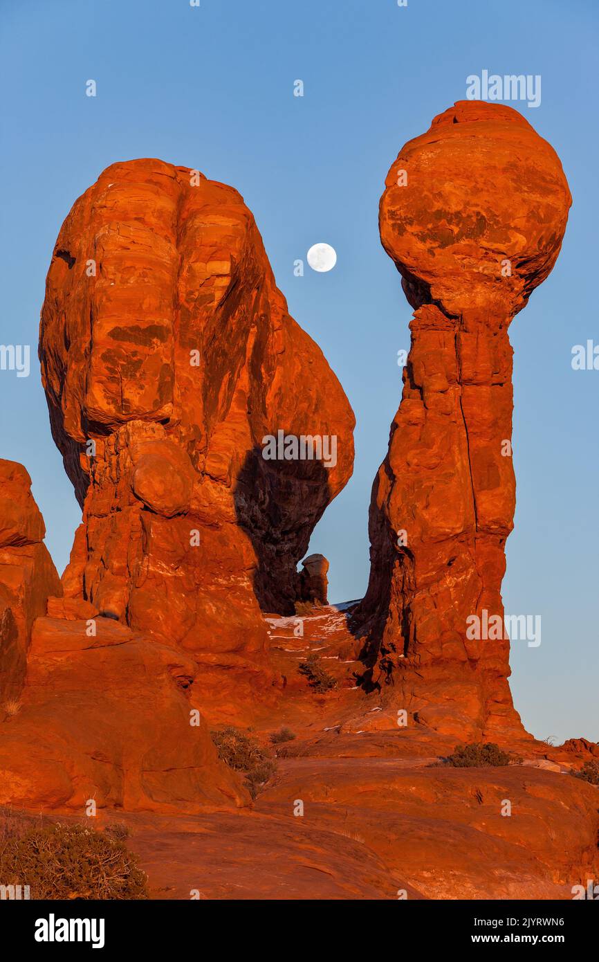 Moon rising between Adam and Eve, sandstone pinnacles of the Garden of ...