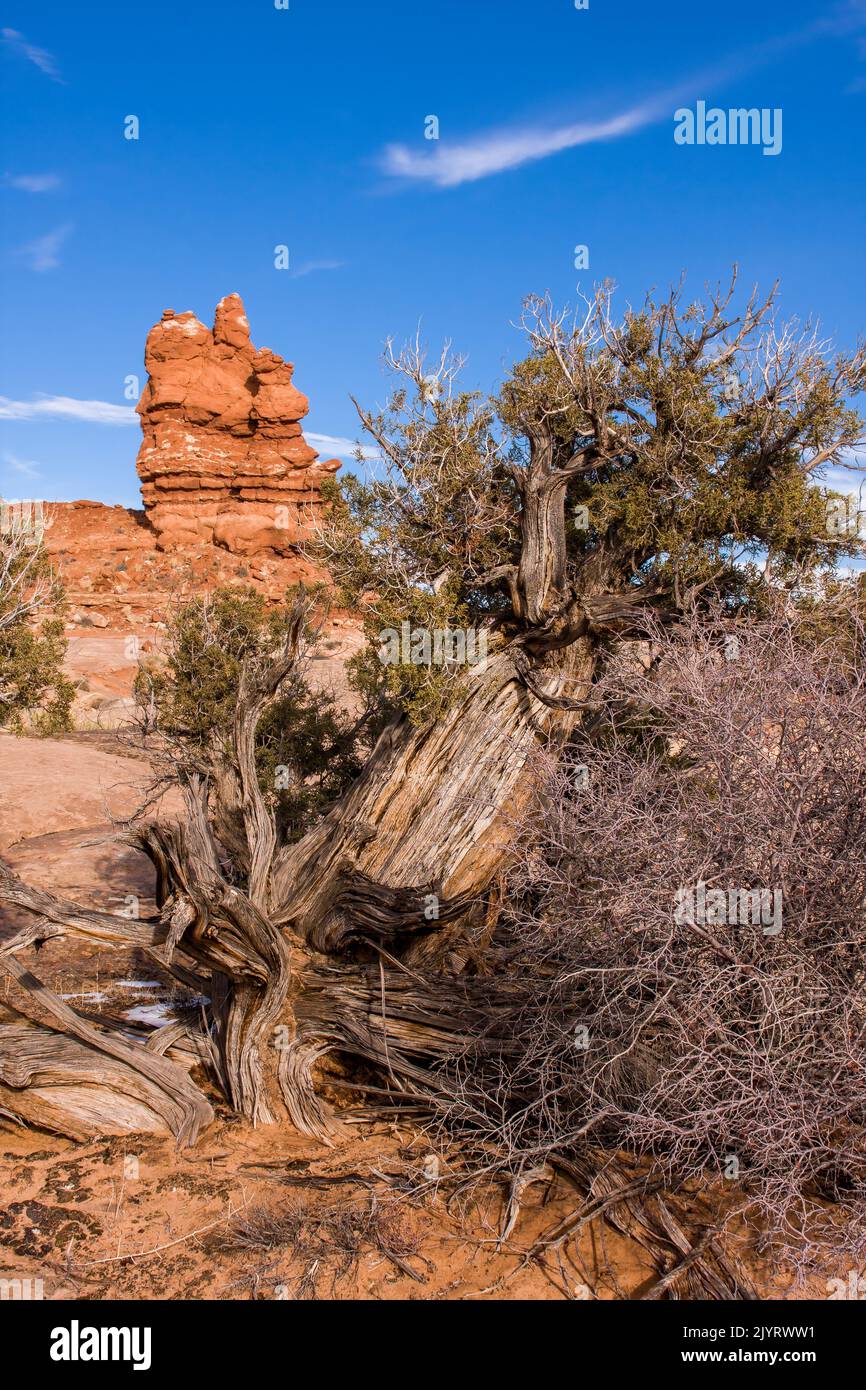 Twisted arches hi-res stock photography and images - Alamy