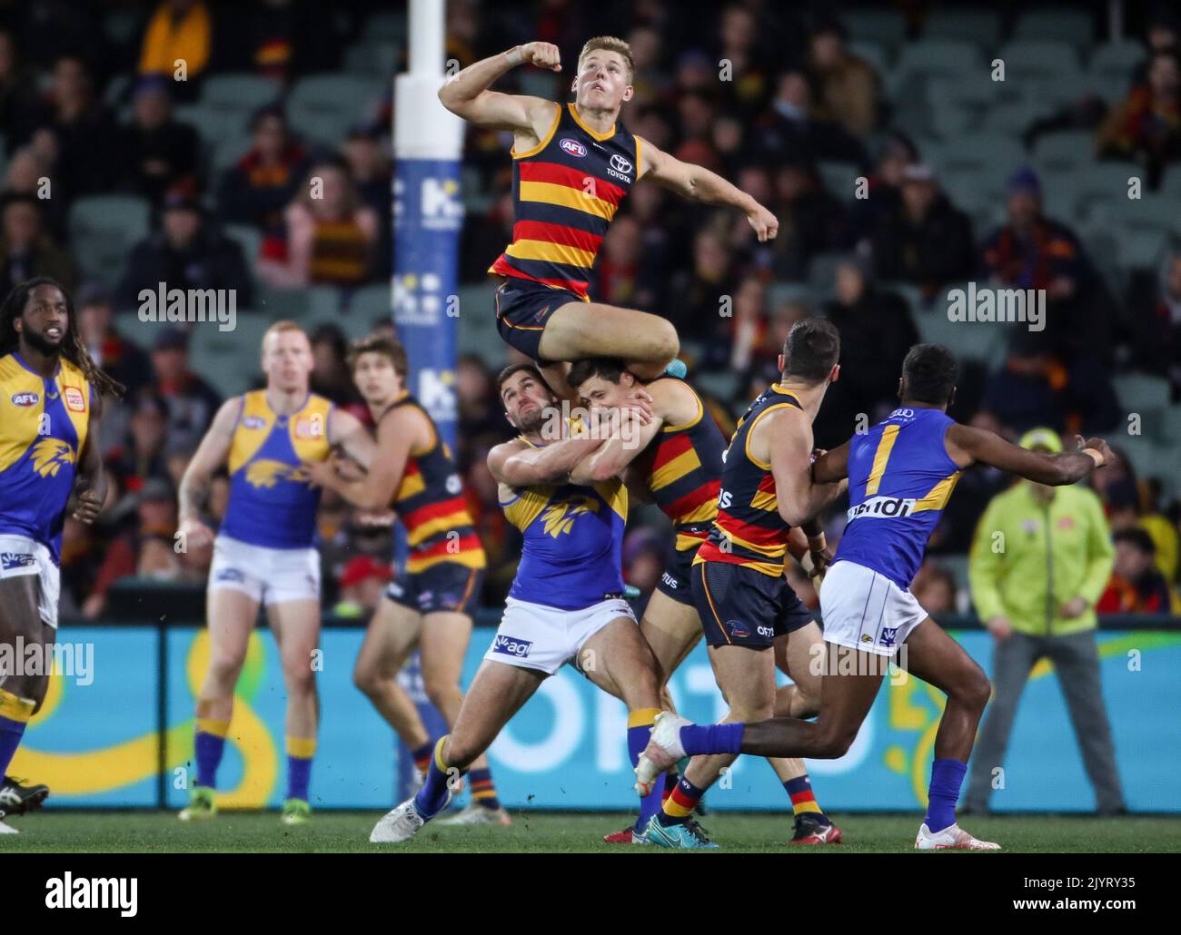 Nick Murray of the Crows flies over the pack during the Round 18 AFL ...