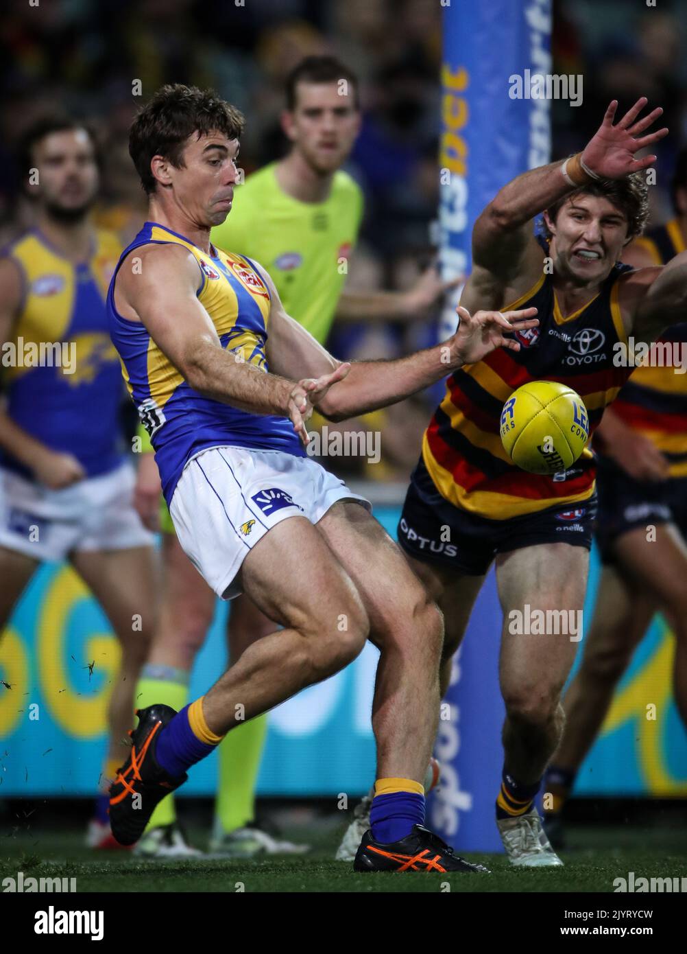 Jamie Cripps of the Eagles snaps for goal during the Round 18 AFL match ...
