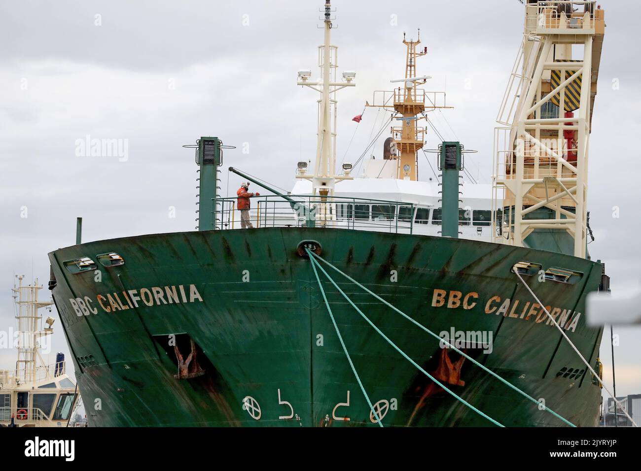 A crew member from the cargo ship BBC California is seen whilst it ...